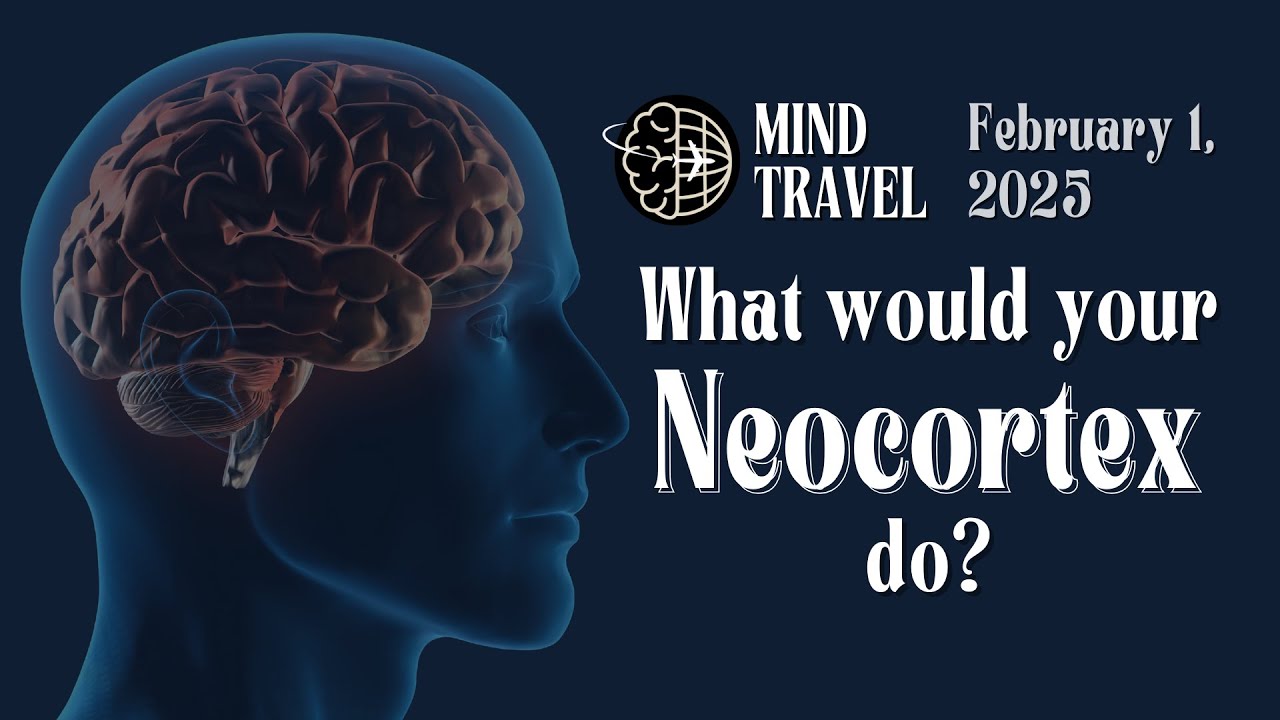 What would your neocortex do? - YouTube