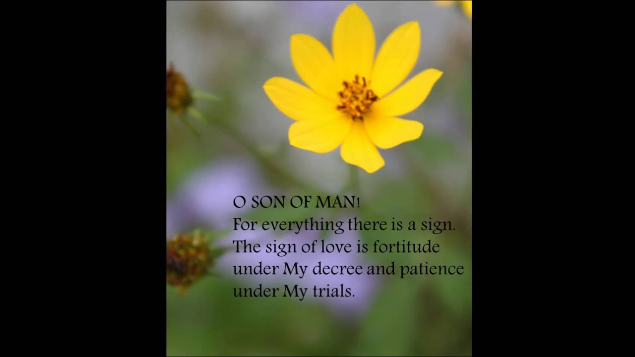 For everything there is a sign - YouTube