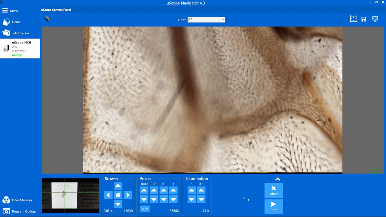 Using the Initial Focus Method - YouTube