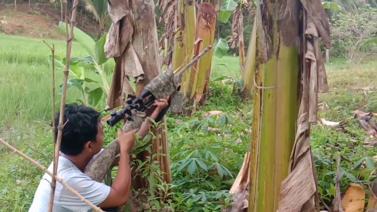 mamaril ng ibon gamit air gun | Hunting bird using air gun w/ scope ...