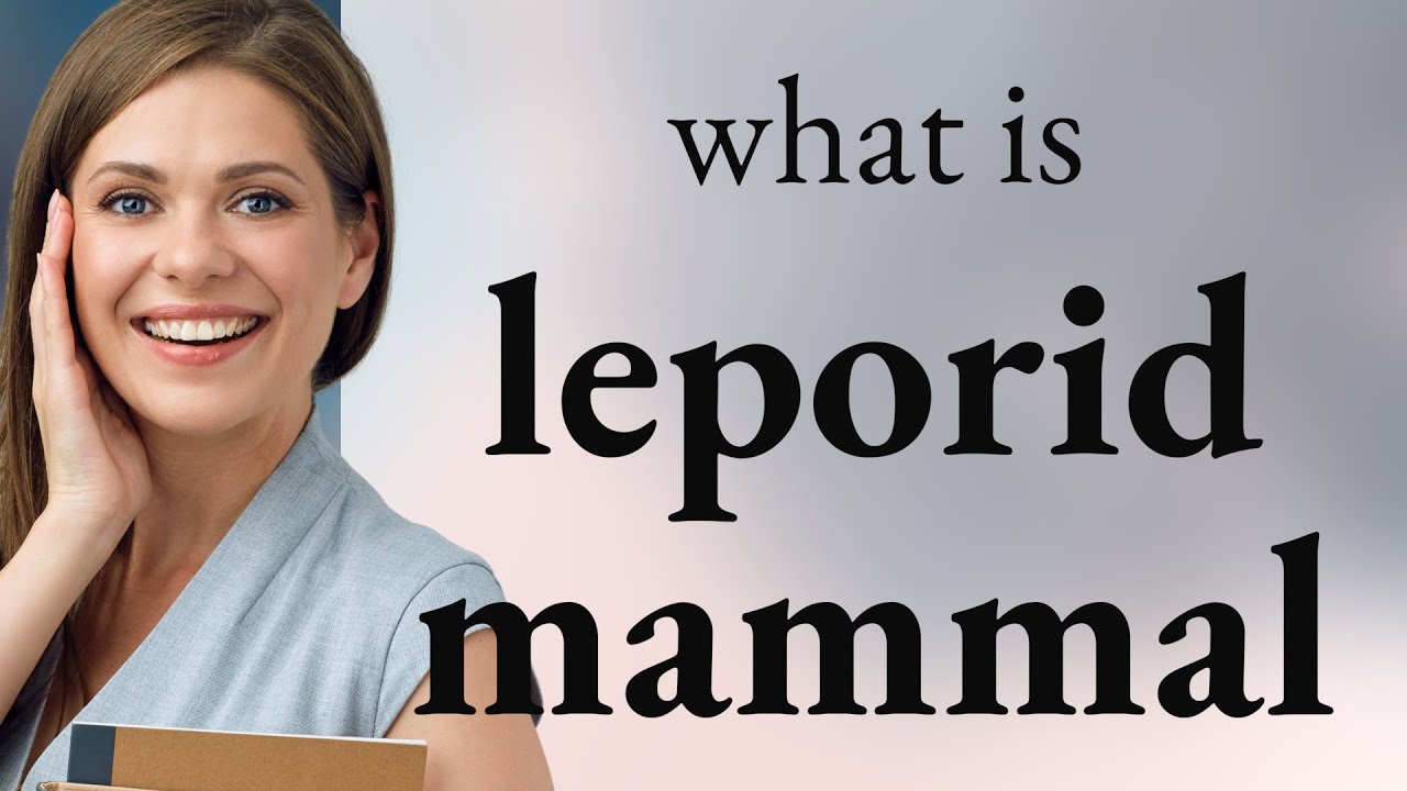 Leporid mammal — LEPORID MAMMAL definition - YouTube