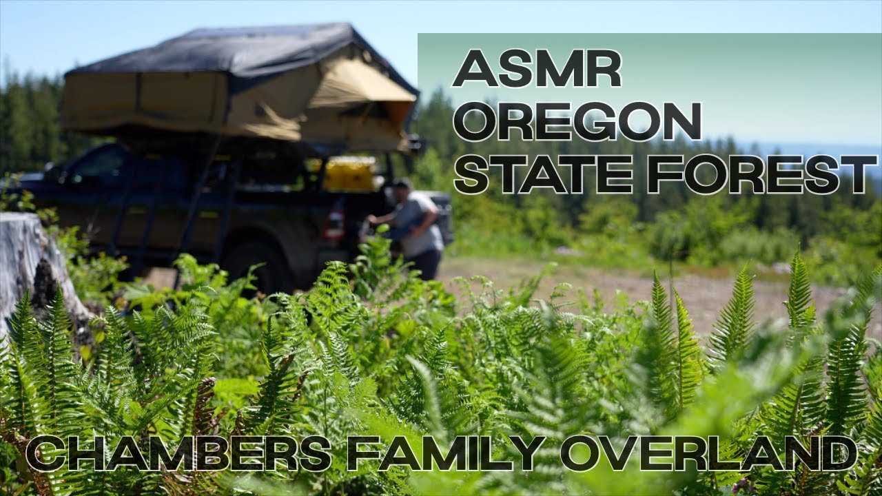 [4K] Camping in the Forest - Overlanding Oregon [ASMR] - YouTube