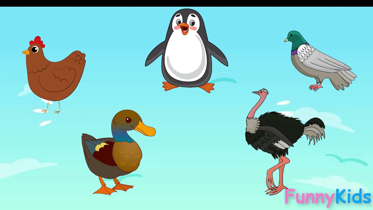 Animales Bípedos y Cuadrúpedos. Animales de dos patas y animales de ...