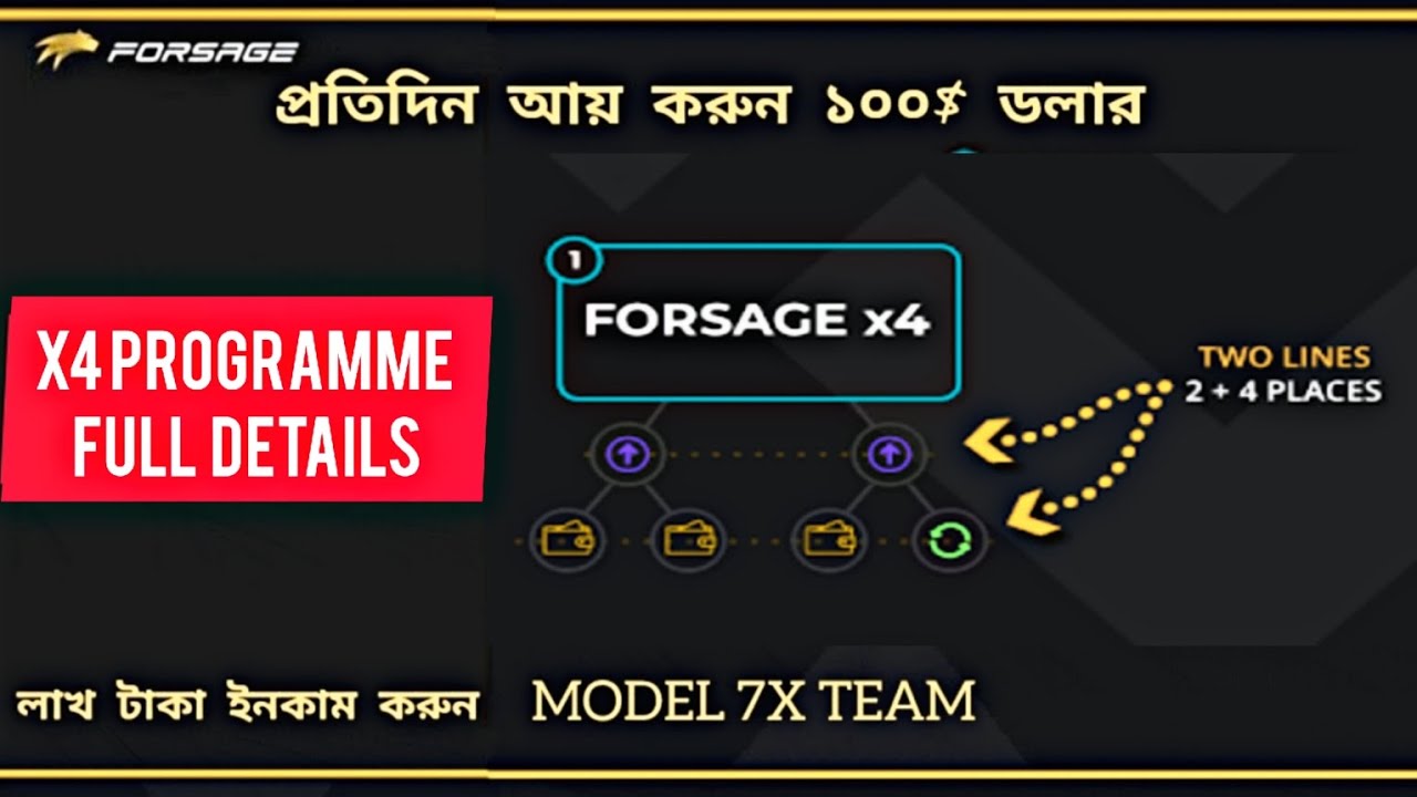 Forsage X4 Programme | কীভাবে ইনকাম হয় X4 প্রোগ্রামে | Forsage io ...