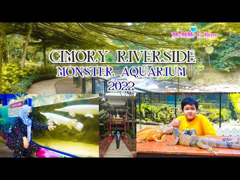 Review Cimory Riverside & Monster Aquarium || Puncak Bogor #MoMMo&Bear ...