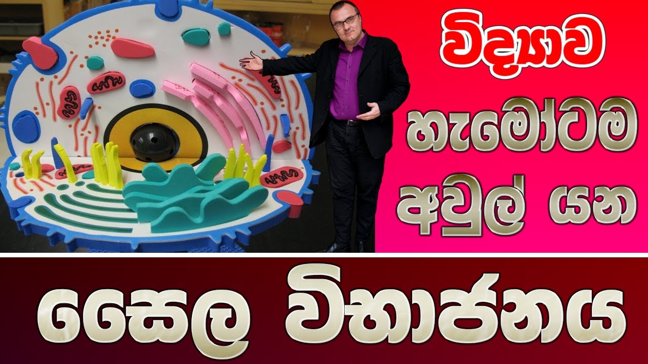 Grade 10 Science 6 YouTube grade-10-science-6-youtube