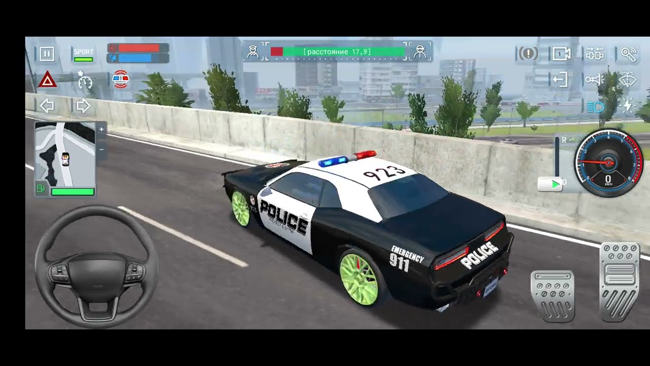 police sim caught the intruder and arrested - YouTube