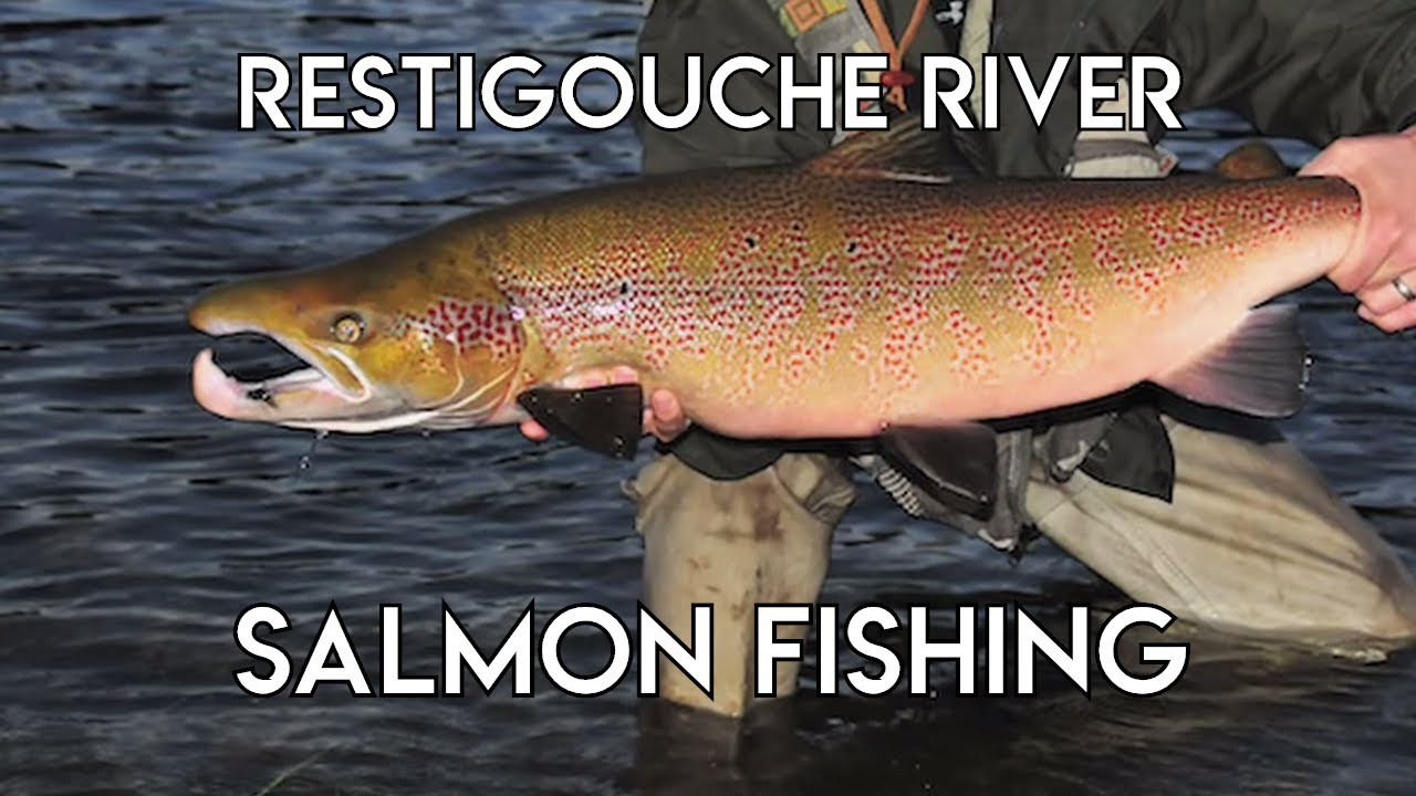 Restigouche River Salmon with Tom Rosenbauer - YouTube