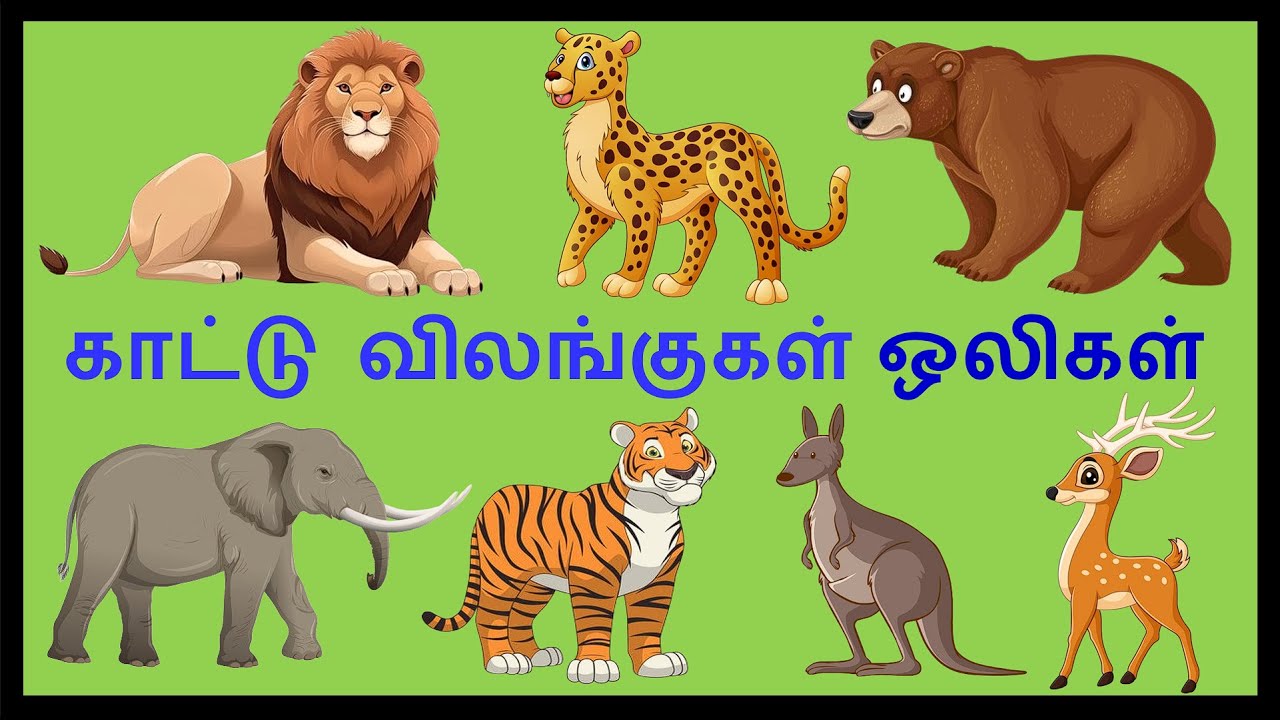 Animal Names and Sounds in Tamil for Kids|குழந்தைகளுக்கு தமிழ் ...
