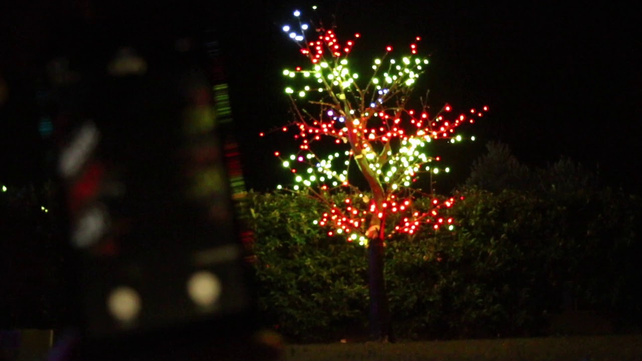 RGB Cherry Tree with Twinkly Pro - YouTube