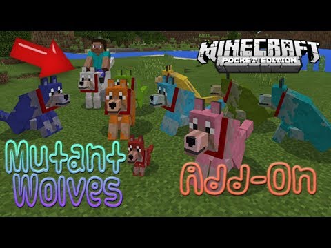 NEW Mob in MCPE!!! | Colorful Mutant Wolves Add-On | Minecraft Pocket ...