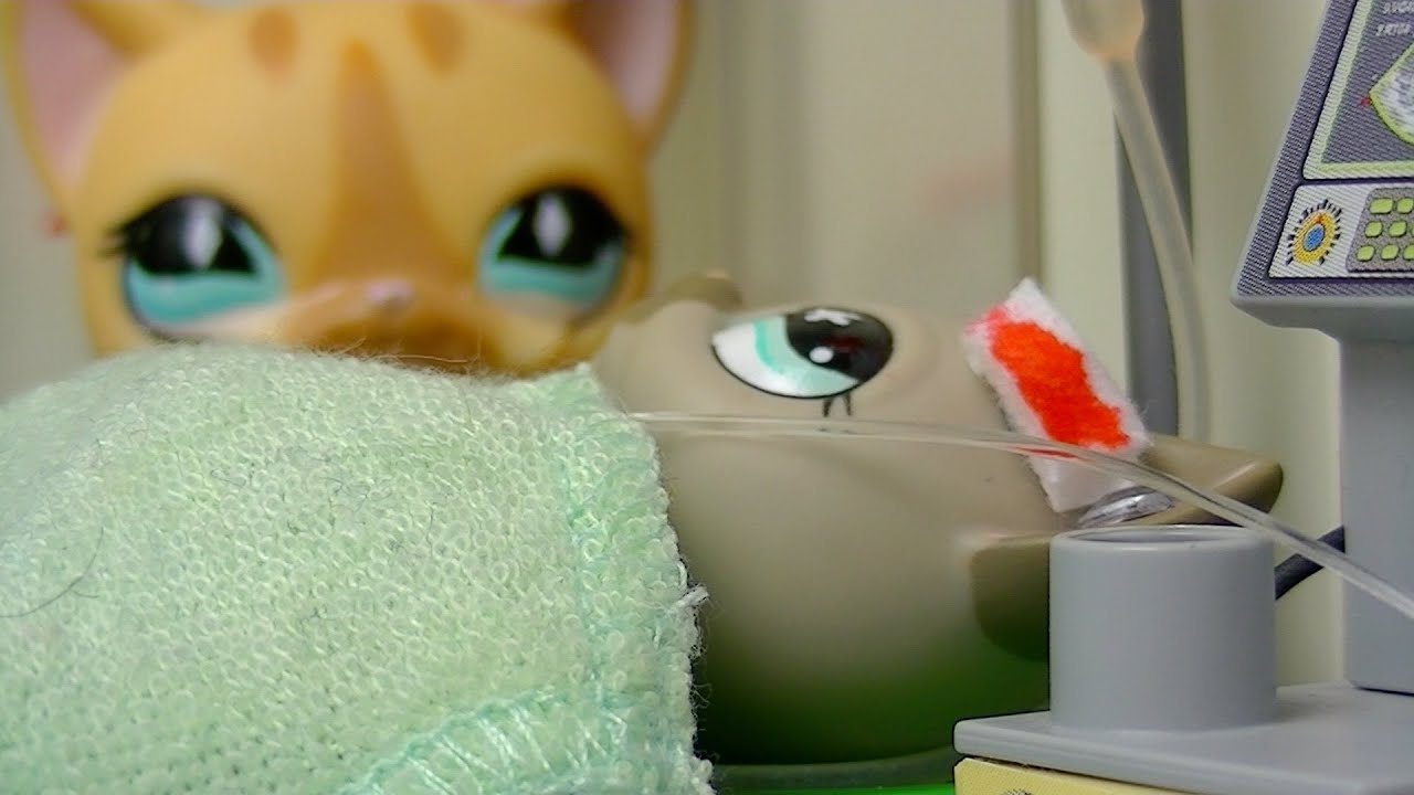 LPS Double Trouble - Episode 12 (Chance) SERIES FINALE ★ - YouTube