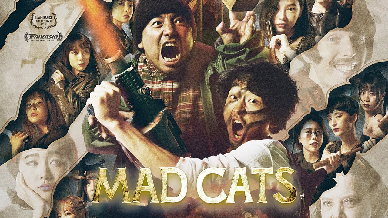 Бешеные кошки / Mad Cats 2023 трейлер - YouTube