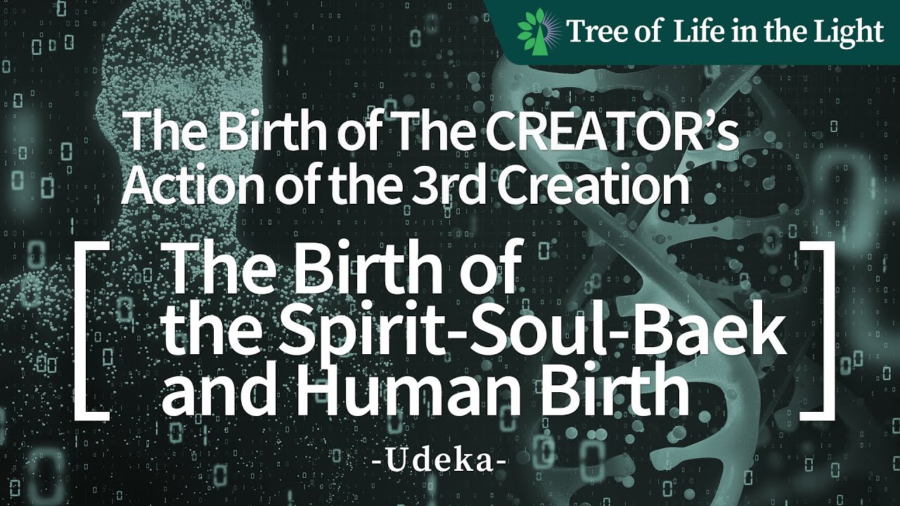 The CREATOR’s Action of the 3rd Creation – The Birth of the Spirit-Soul ...