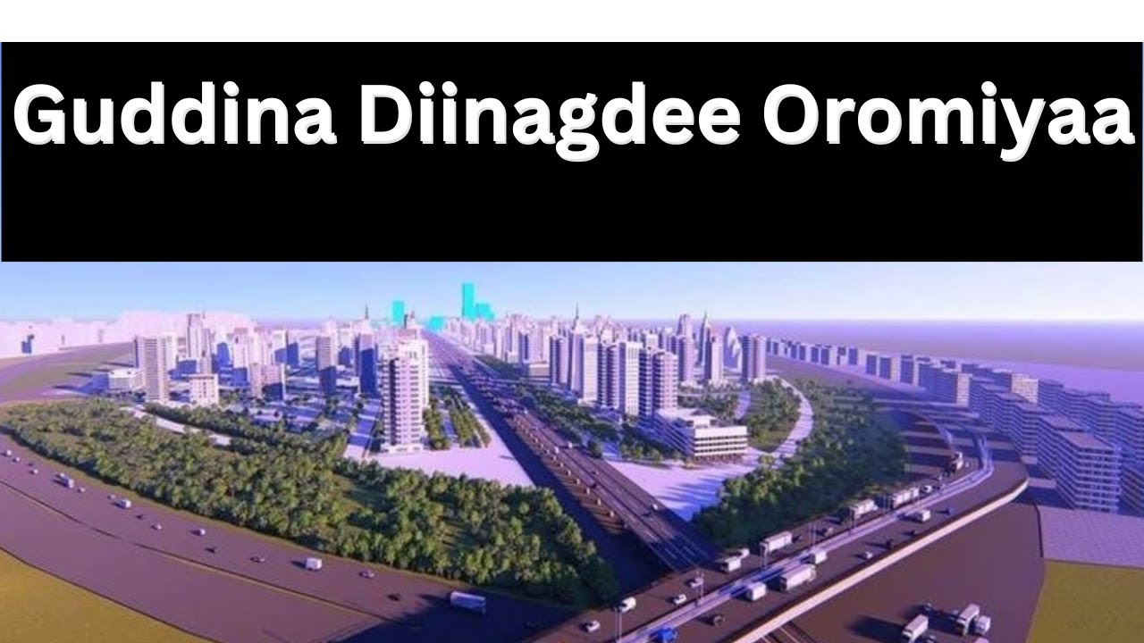 Guddina Diinagdee Itti Fufiinsa Qabu Mirkaneessuuf hojjetamaa Jira ...