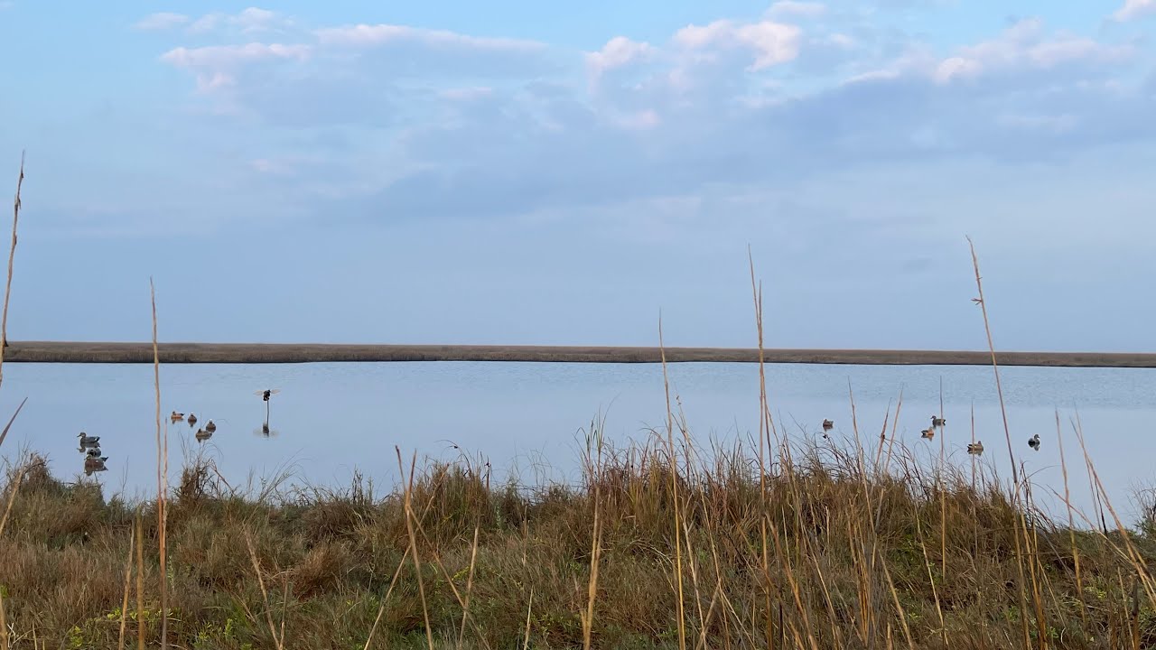 My old man got his first duck on a slow day at hurst - YouTube