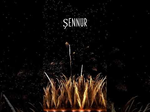 BON ANNIVERSAIRE ŞENNUR !