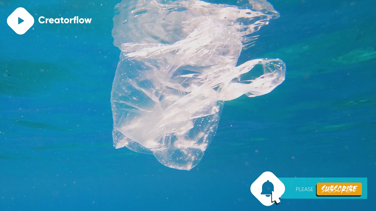 🎥 Plastic In The Ocean | 4K Royalty free stock video footage - YouTube