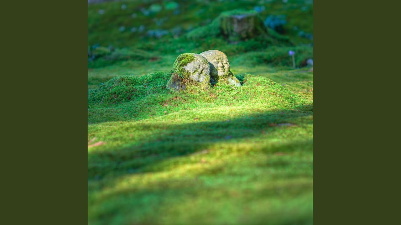 Void Walk - YouTube Music