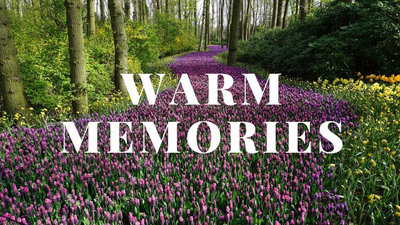 Warm Memories, Emotional Memories, Emotional Music, Deep Music - YouTube