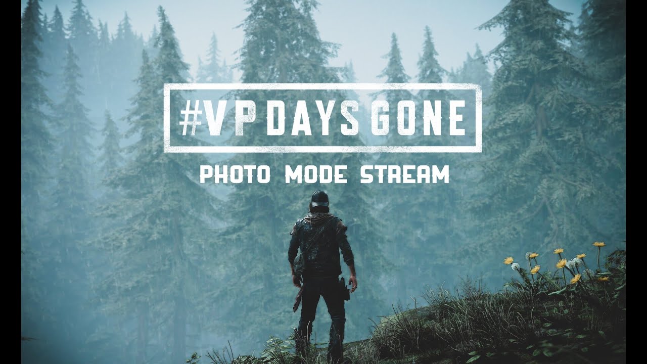 Days Gone Photo Mode Stream - YouTube