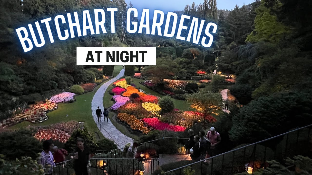 Alaska Cruise: Is the Butchart Gardens at Night Worth It? - YouTube