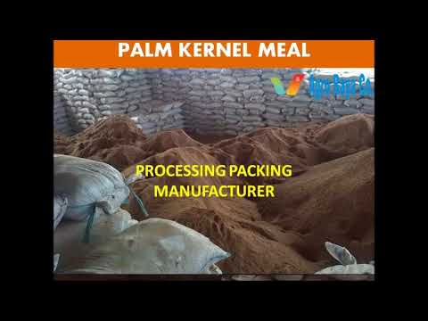 Palm Kernel Cake Indonesia - YouTube