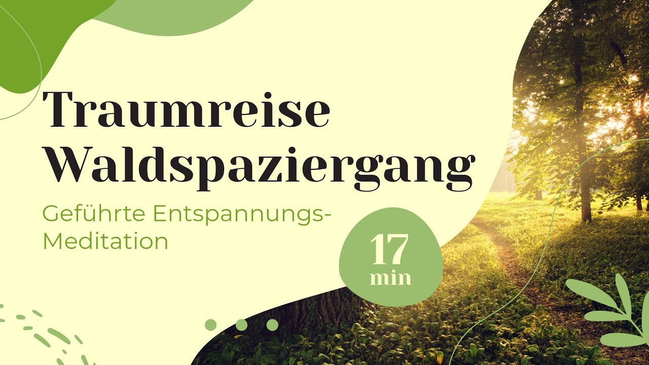 „Waldspaziergang“ - Traumreise / Meditation / Fantasiereise 🌳 - YouTube