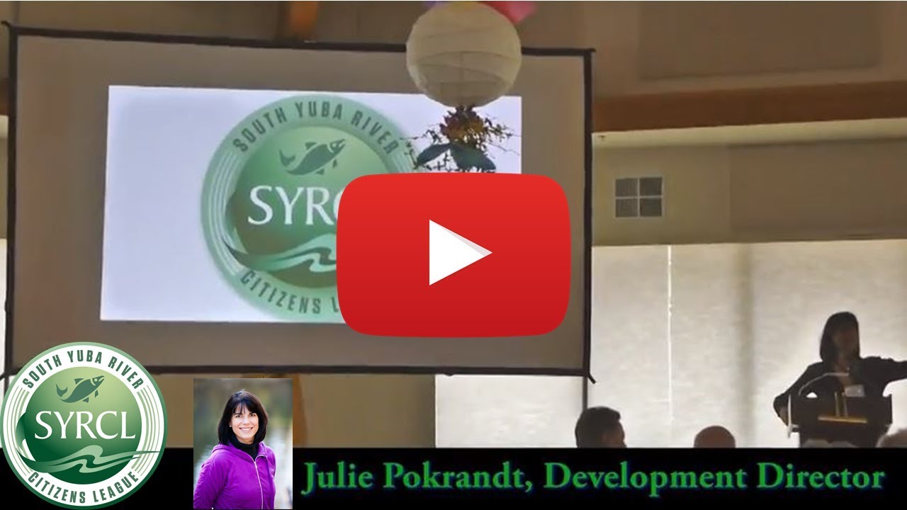 Julie Pokrandt, Development Director, Thank You Members and Volunteers ...