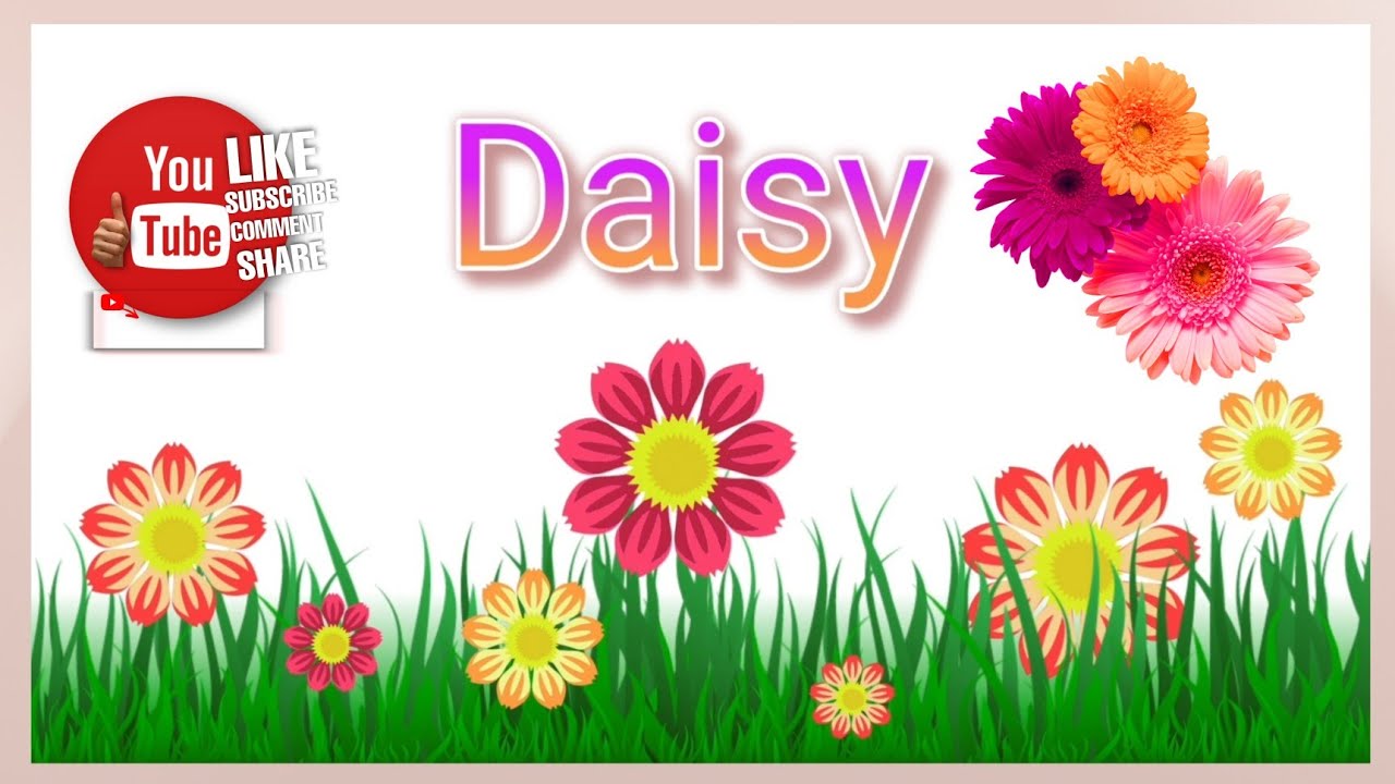 Daisy - YouTube