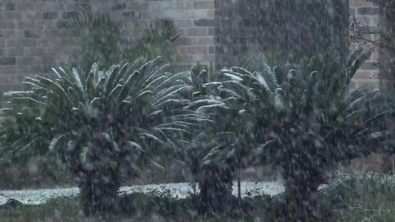 Houston Snow 2009 - Linden Hudson - YouTube