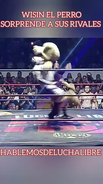WISIN EL DOG SORPRENDE A SUS RIVALES - #WisinElDog #IndyWrestling # ...