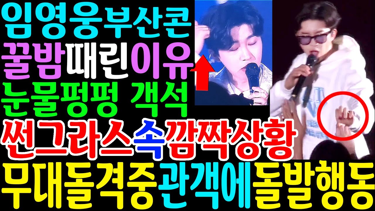 임영웅 앵콜콘 무대 돌격중 관객에 돌발행동 갑자기 꿀밤 때린 이유 썬그라스 속 깜짝 상황 관객 눈물펑펑 폴라로이드 런던보이 앵콜
