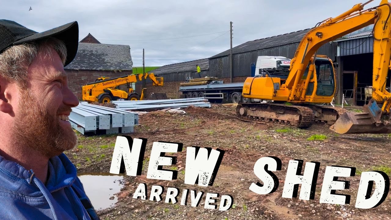 The BIG Shed Build - Our New Coo Shed Has Arrived - YouTube