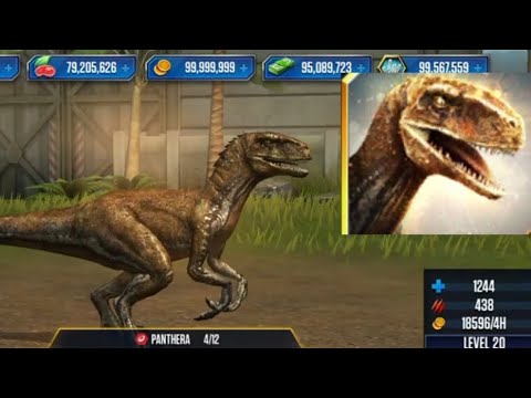 NEW PANTHERA ATROCIRAPTOR CONFIRMED NEW FOOTAGE 100% REAL JWTG ...