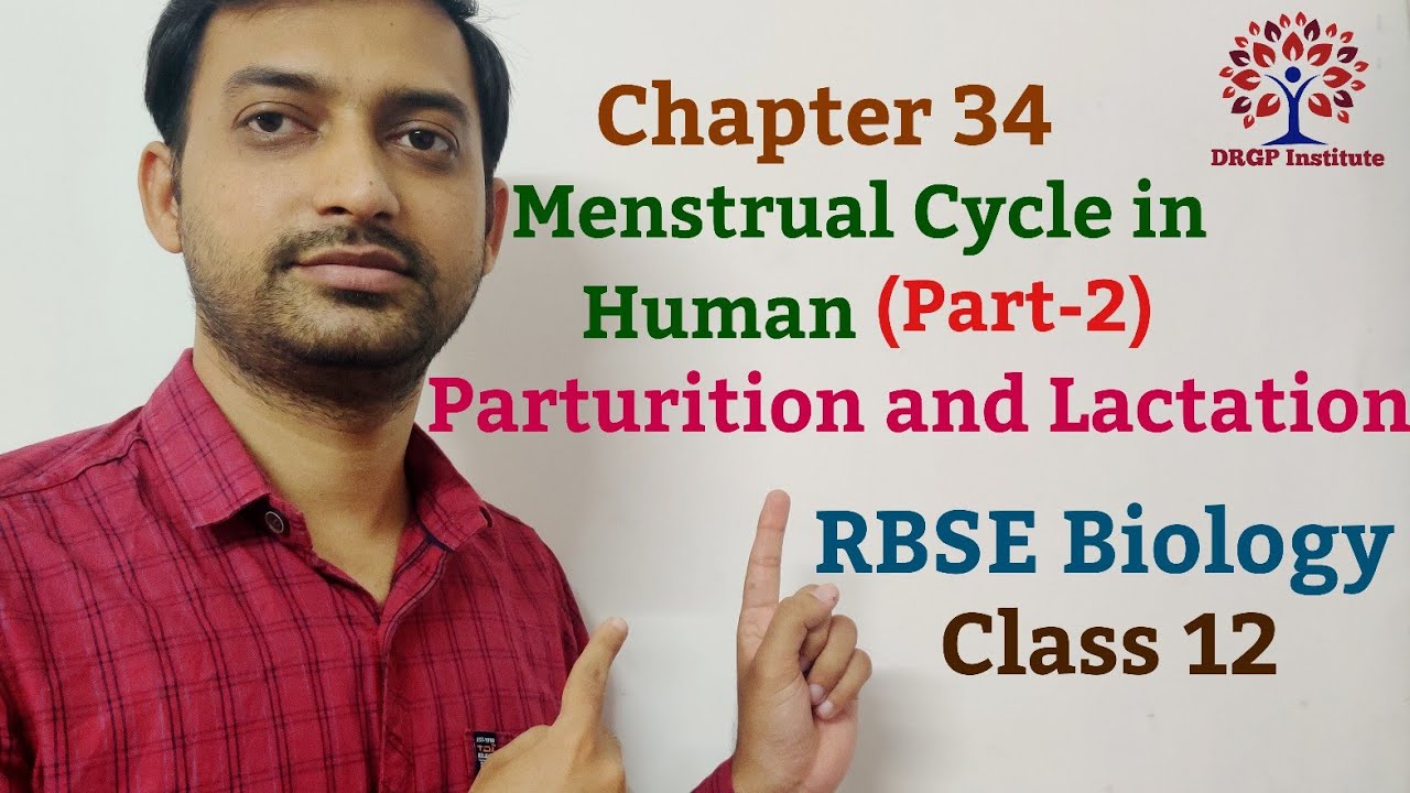 Class 12 Chapter 34: Menstrual Cycle in Human | Parturition | Lactation ...