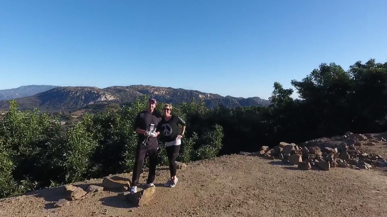 Our New Avocado Farm in Temecula - YouTube