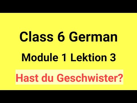 CLASS 6 German| Hallo Deutsch class 6 Lektion 3| Hast du Geschwister ...