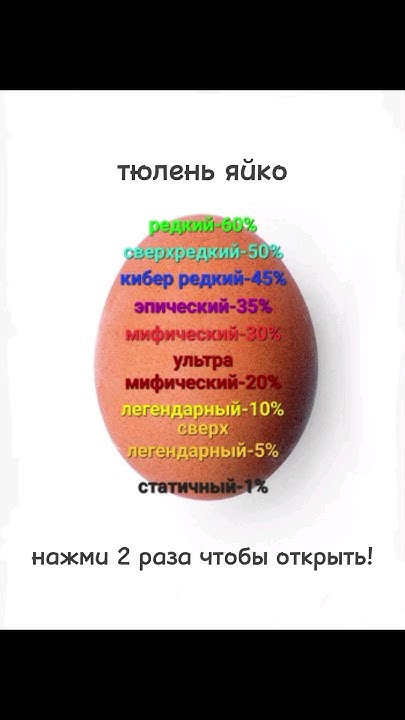 тюлень яйко тюлени Youtube