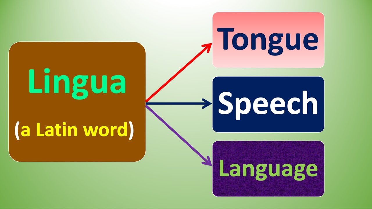 What is Language?, Lingua, System of Codes, Encoding and Decoding ...