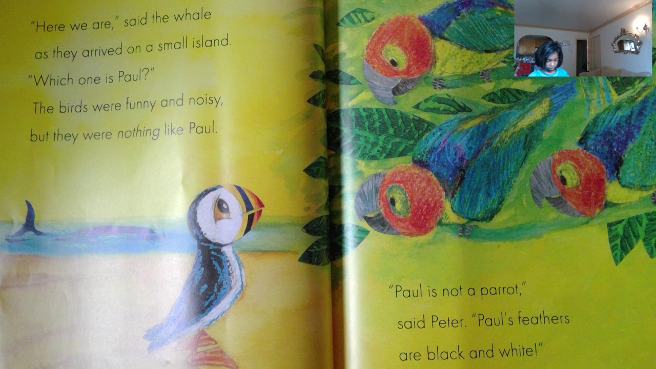 Puffin Peter by Naru - YouTube