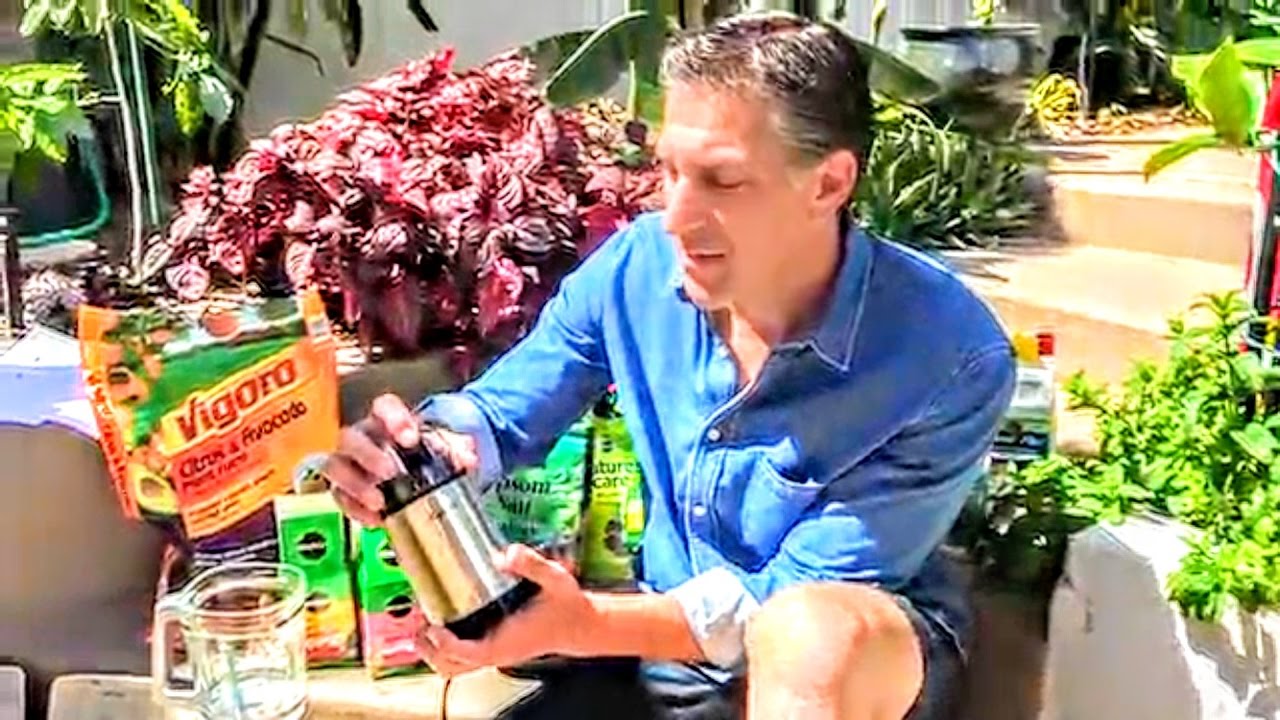 The 6 Plant Macronutrients | EGG SHELL GROUNDS | Permaculture ...