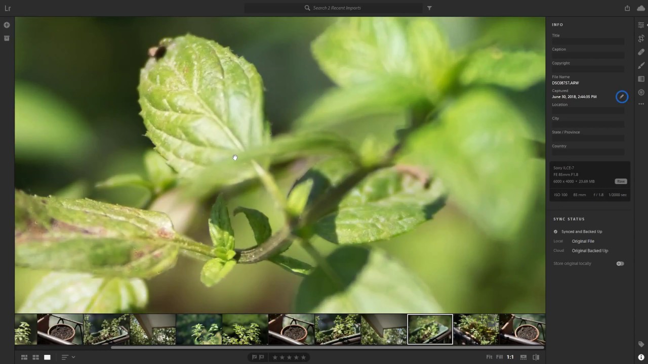 Crop lens vs Fullframe lens 85mm f1.8 vs Sony 18-105mm f4 on both ...
