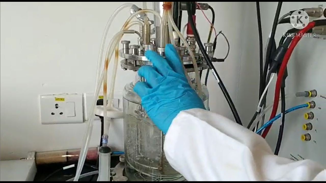 Bioreactor Basics 2: Harvesting, Cleaning and Calibration @edubiotech ...