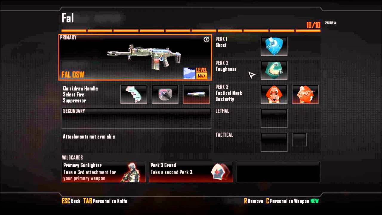 Call of Duty Black Ops 2: Road To Mastery | FAL OSW Final Class Setup ...