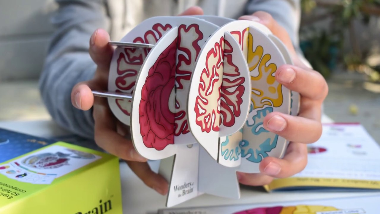 Wonders of the Brain Science Kit - Explore The Human Brain. - YouTube