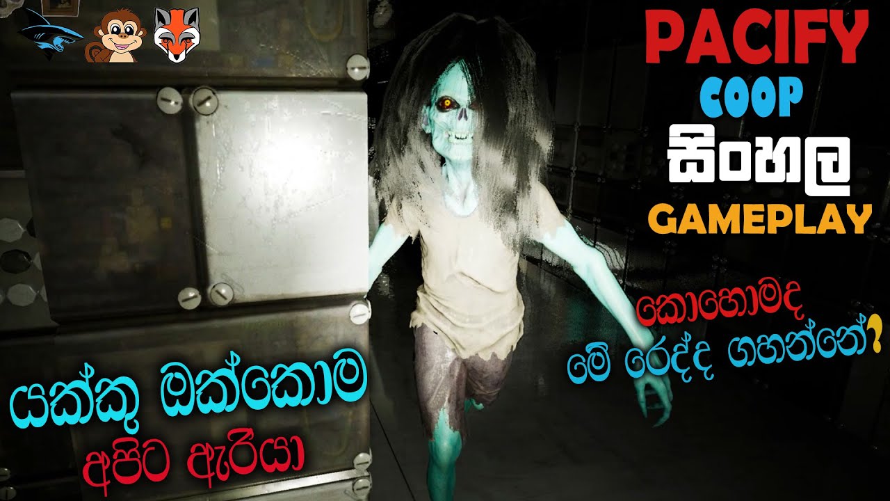 PACIFY SINHALA COOP GAMEPLAY NEW MAP || WE DON'T KNOW WHAT TO DO - YouTube