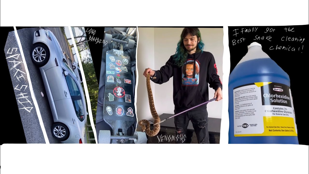 I finally got the BEST SNAKE CLEANER, and my car back!!! - YouTube