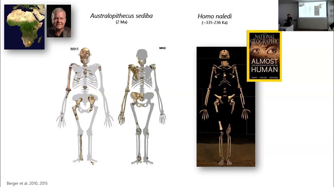HEAS Seminar Series - Human Evolution and the Palaeolithic - Tracy ...