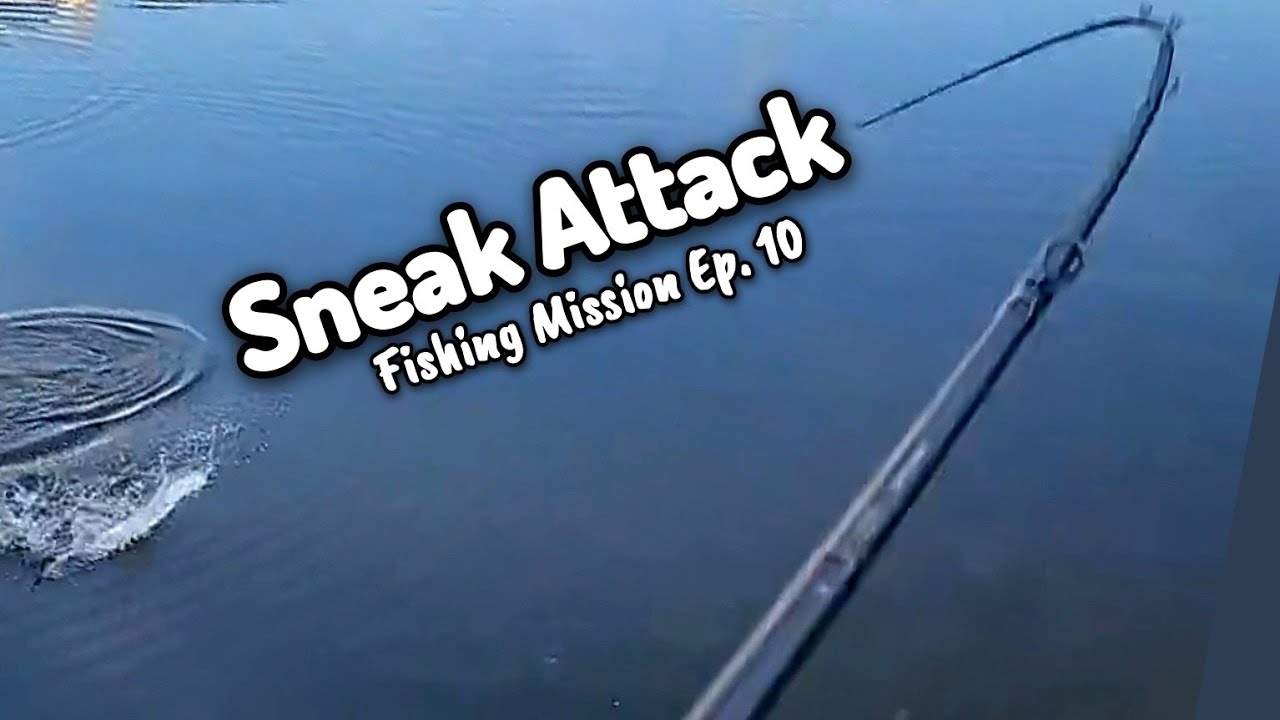 Sneak Attack Mode : Fishing Mission Ep. 10 - YouTube